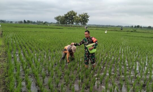 Target LTT Januari Selesai, Ini Persentase Tertinggi dan Terluas di ...